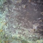 Finishes | Quirky Interiors